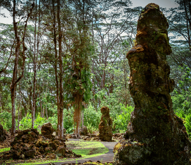 Guide To Visiting Lava Tree State Park | Kona Directory