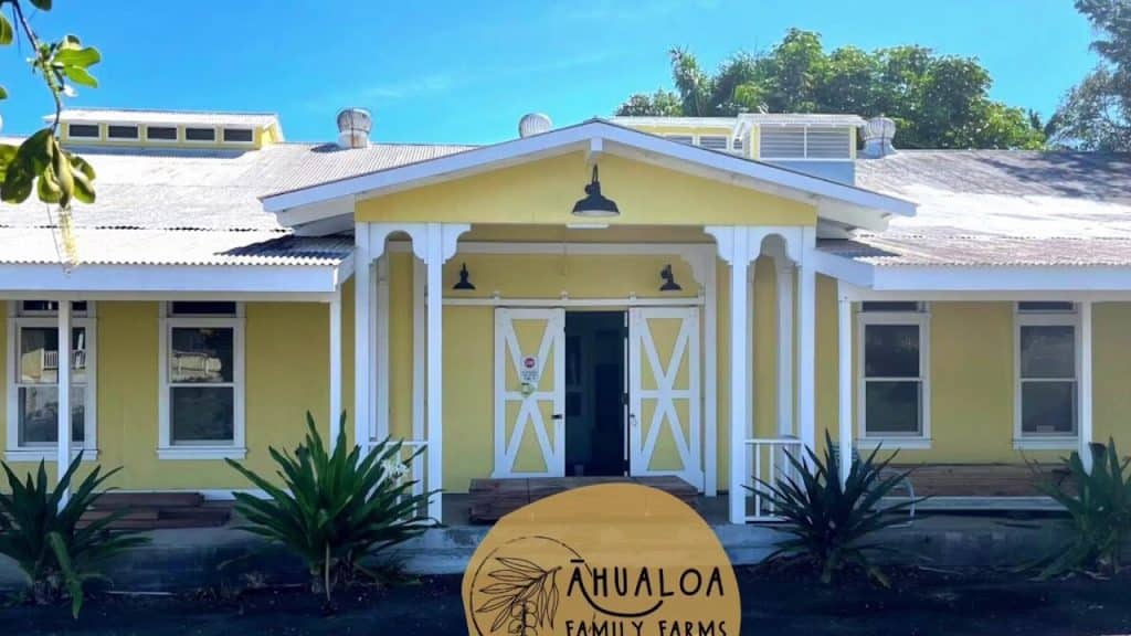 Big Island’s Macadamia Nut Farms: A Tour Guide | Kona Directory